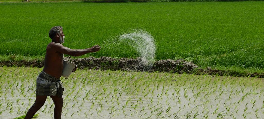 Best Rice Brand In Kerala | Largest Rice Mill | Keerthi Nirmal