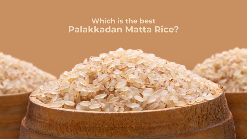 Which is the best Palakkadan Matta Rice? - Keerthi Nirmal